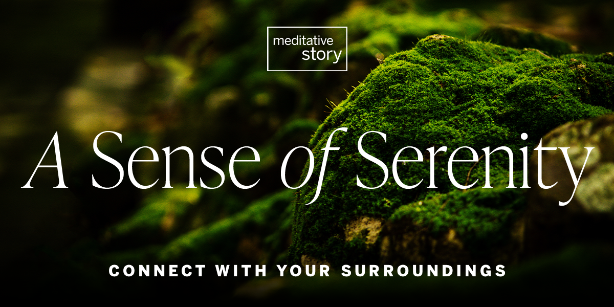 A Sense of Serenity: Connect With Your Surroundings